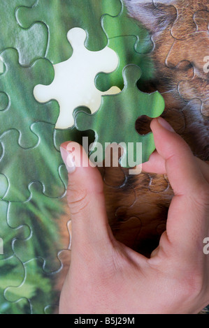 Doing a jigsaw puzzle close up showing hand and puzzle pieces Stock ...