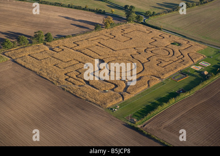 Maze in field of Maize Norfolk UK October Stock Photo - Alamy
