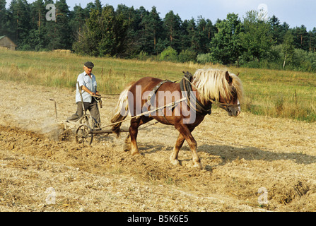Poland Psary village, tillage drudgery toil with horse plough Stock ...