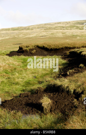 Peat Hag on moorland in the Yorkshire Dales National Park Stock Photo ...