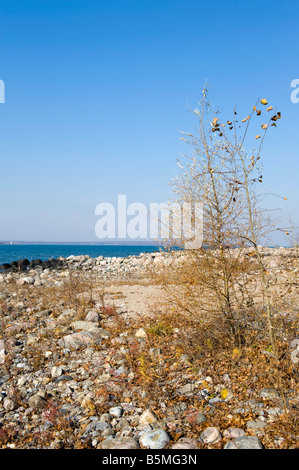 Autumn on the shore of Lake Huron, a beautiful autumn landscape Stock ...