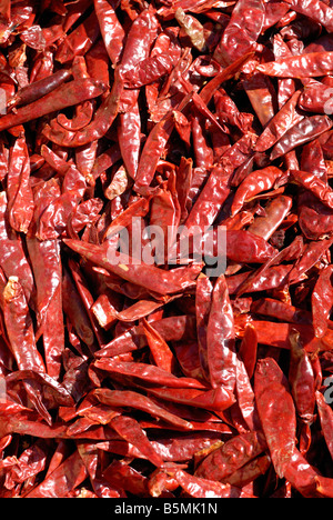 Sun dried red chili peppers on wooden surface with mortar and pestle ...
