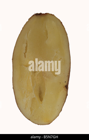 POTATO WITH HOLLOW HEART SECTIONED CUT OUT Stock Photo - Alamy