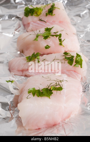 The sea monk (monk-fish or monkfish) was a sea creature found off the ...