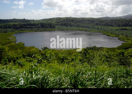 Grenada Lake Antoine National Park crater lake volcano crater filled ...