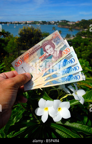Caribbean money; East Caribbean currency; notes and coins and a shell ...