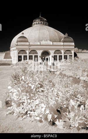 Botanical Gardens Conservatory Buffalo City New York State USA Stock ...