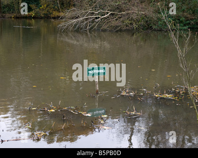 Tilgate Park Lake, Crawley, West Sussex, England, UK Stock Photo - Alamy