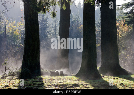 Longformacus. Scottish borders. Scotland Stock Photo - Alamy