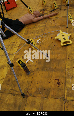 crime evidence in mock up murder scene at open day Stock Photo - Alamy