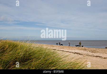 The beach at Leysdown on Sea on the Isle of Sheppey in Kent Stock Photo ...