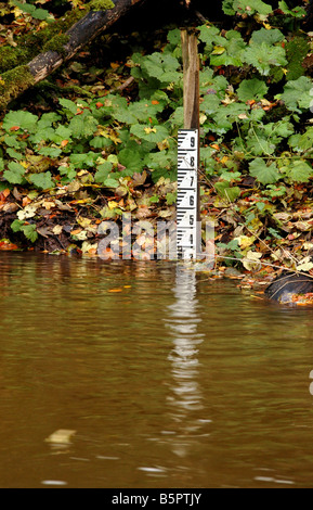 Water level marker in a river Stock Photo - Alamy