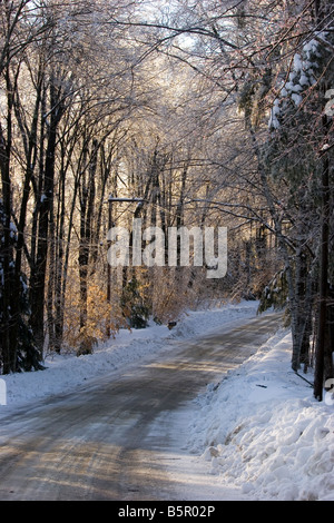 Winter landscape.Winter scene Stock Photo - Alamy