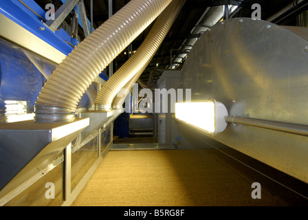 A COIR PROCESSING FACTORY IN KERALA Stock Photo - Alamy