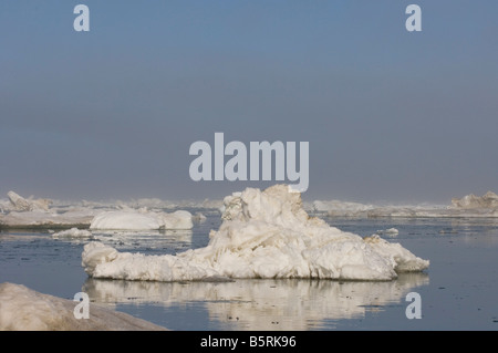 melting shorefast ice in the Beaufort Sea Arctic Ocean off the coast of ...