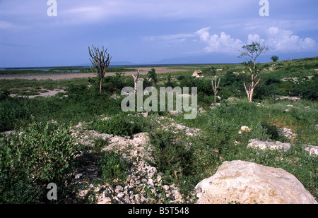 Extreme soil erosion and deforestation mean that Haiti's environment is ...
