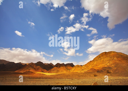Multi coloured hills from sandstone in desert Sinai Stock Photo - Alamy