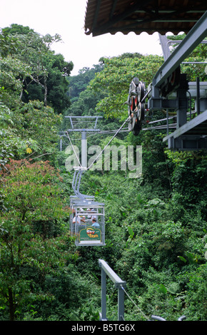 tropical rain forest, aerial tram car, above boarding platform ...