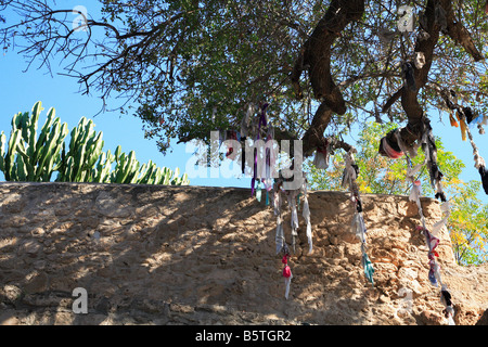 Ayia (Agia) Solomoni legendary tree curing illnesses in Paphos Cyprus ...
