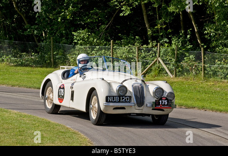 1950 Jaguar XK120 "Nub 120" rally car at the 2010 Goodwood Festival of ...