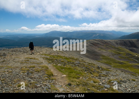 On the Robert Ridge, near St Arnaud, Nelson Lakes National Park, South ...