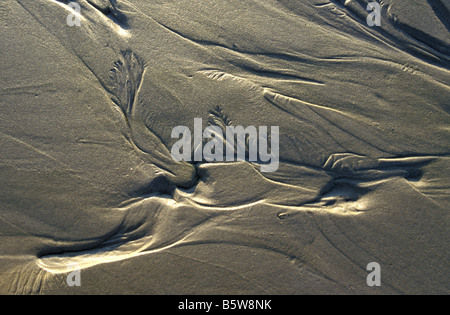 structures in wadden sea Stock Photo - Alamy