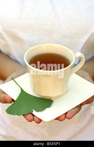 Hands of young woman holding ginkgo leaf - isolated - homeopathy Stock ...