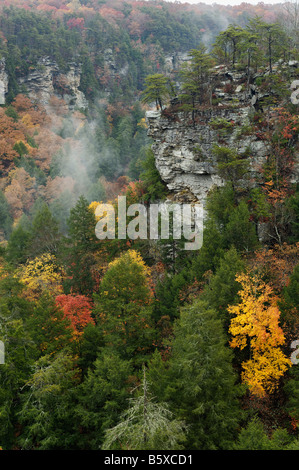 Fog and mist rising Stock Photo - Alamy