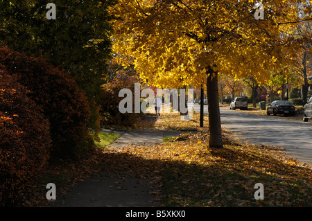 Typical autumn scene in Rochester, NY USA Stock Photo: 20867013 - Alamy