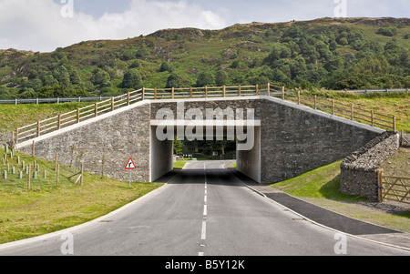Bridge over the A590 dual carriageway in Cumbria Stock Photo - Alamy