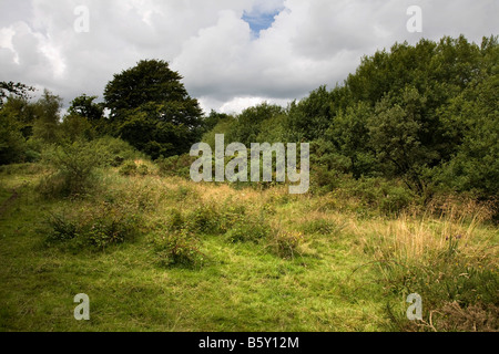 meshaw moor wildlife trust reserve south molton devon Stock Photo - Alamy