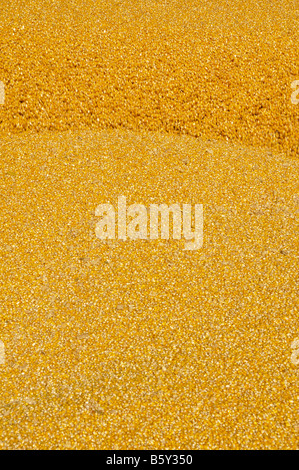 Bulk of corn grains Stock Photo - Alamy