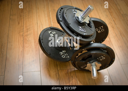 Free weights sitting on a wood floor the perfect accessory to any home ...