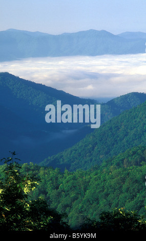Newfound Gap Overlook, Great Smokey Mountains National Park, North ...