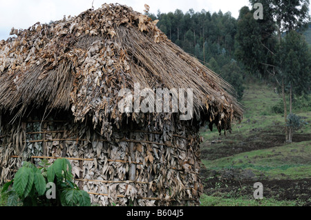 Traditional rural house, Rwanda Stock Photo - Alamy