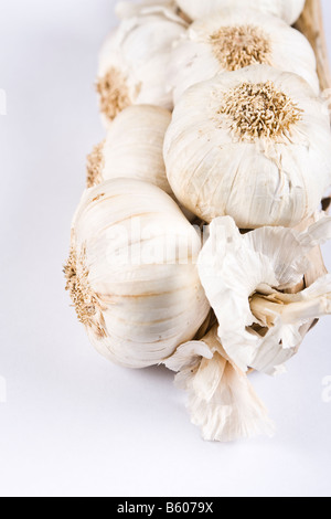 Garlic bulbs tied together white background Stock Photo - Alamy