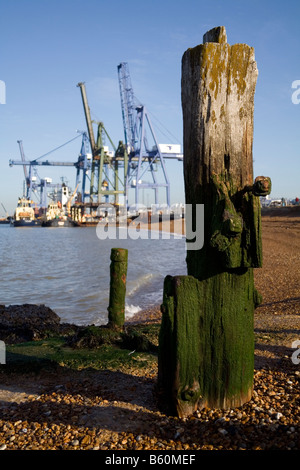 Cargo Container Ship Stumps of old piers Stock Photo - Alamy