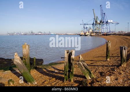 Cargo Container Ship Stumps of old piers Stock Photo - Alamy