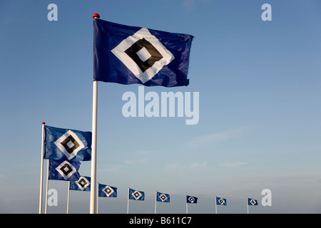 Flags of the Hamburger Sport Verein, or HSV, being flown as part of the ...