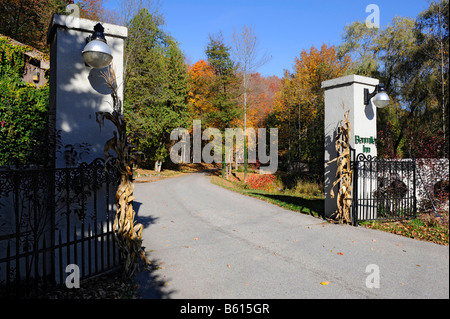 Autumn Trees fall colors Ontario Canada orange red Stock Photo - Alamy