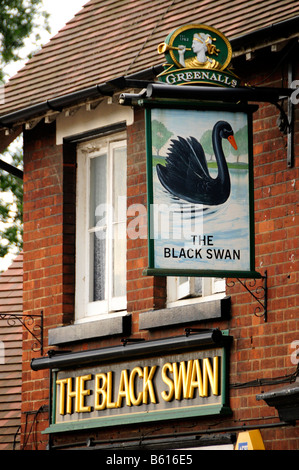 Black Swan Restaurant and Pub in Ockham - Surrey, England Stock Photo ...