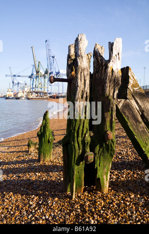 Cargo Container Ship Stumps of old piers Stock Photo - Alamy