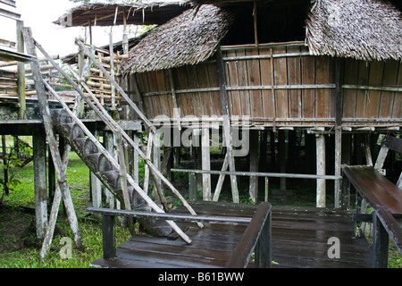 Traditional native house in Sarawak, Malaysia, built on high stilts ...
