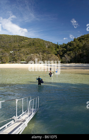 Torrent Bay Beach in Abel Tasman National Park Stock Photo - Alamy