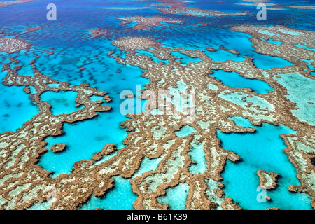 Aerial view, reefs and atolls of the Great Barrier Reef, Queensland ...