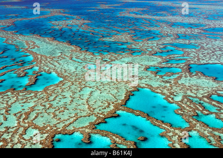 Aerial view, reefs and atolls of the Great Barrier Reef, Queensland ...