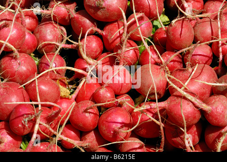 Radieschen / radishes Stock Photo - Alamy
