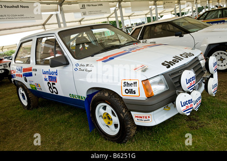 Vauxhall Nova rally car Stock Photo - Alamy