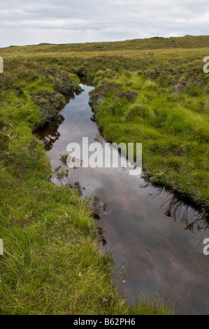 Stream in the moors near Poolewe, Scotland, UK Stock Photo - Alamy