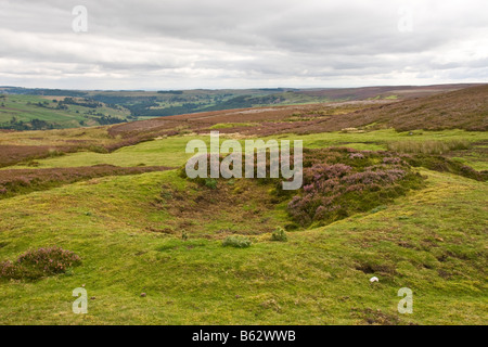 Bell Pit, the remains of the old lead mining industry, Grinton Moor ...